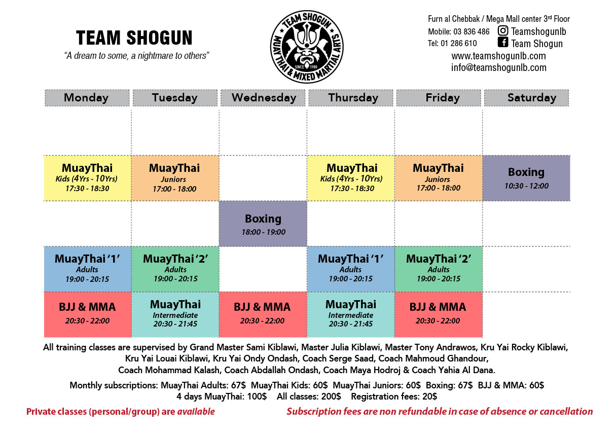 Shogun - Classes